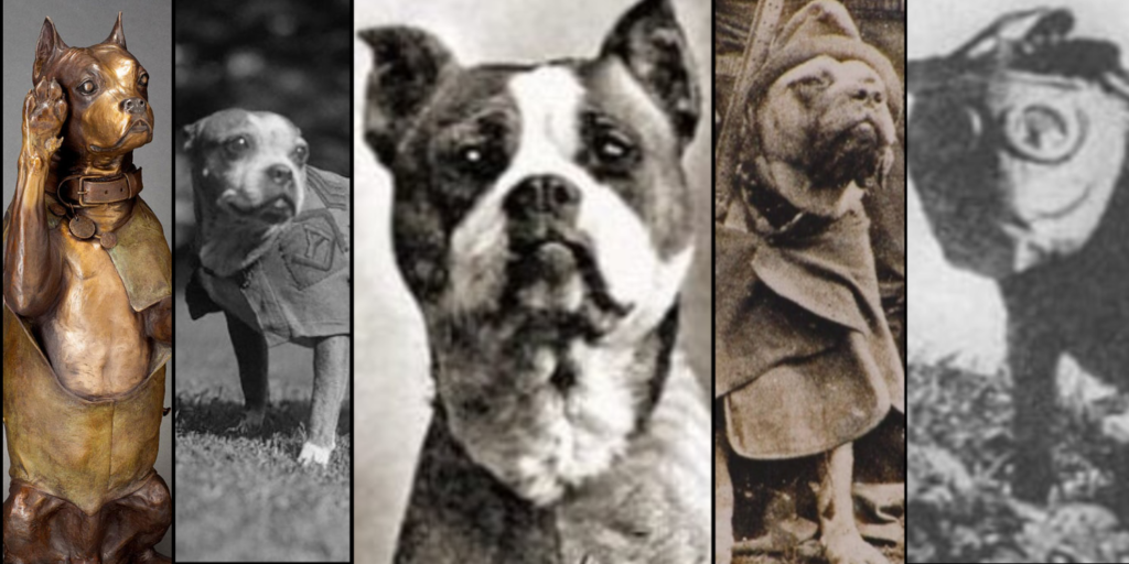 Los perros héroes: la historia de dos perros soldado de la Gran Guerra ...
